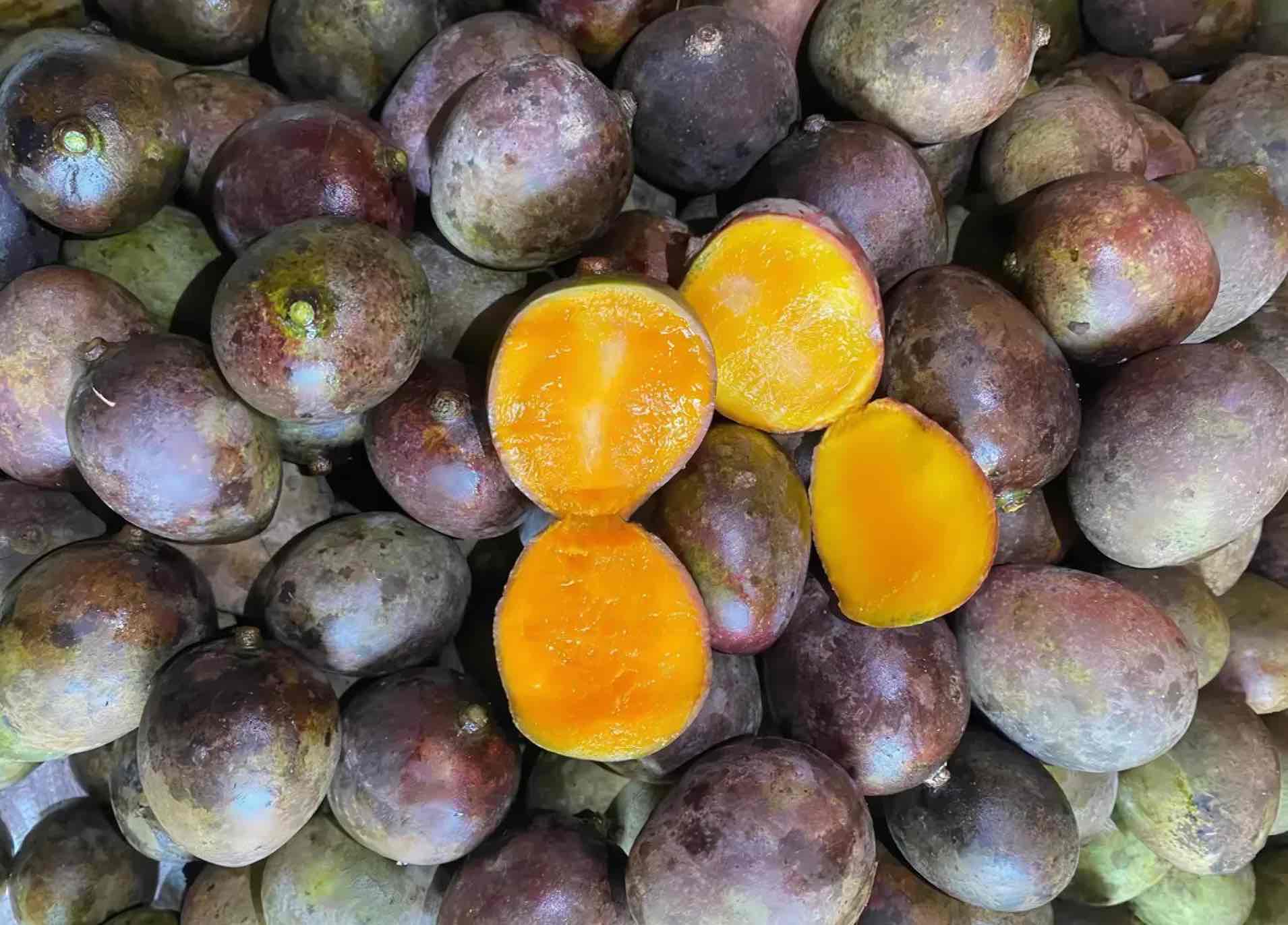 Langka? Di HST, Buah Kasturi Menjamur Kok - Poros Kalimantan